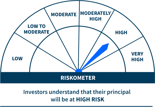 DSP Gold ETF:Direct:Growth